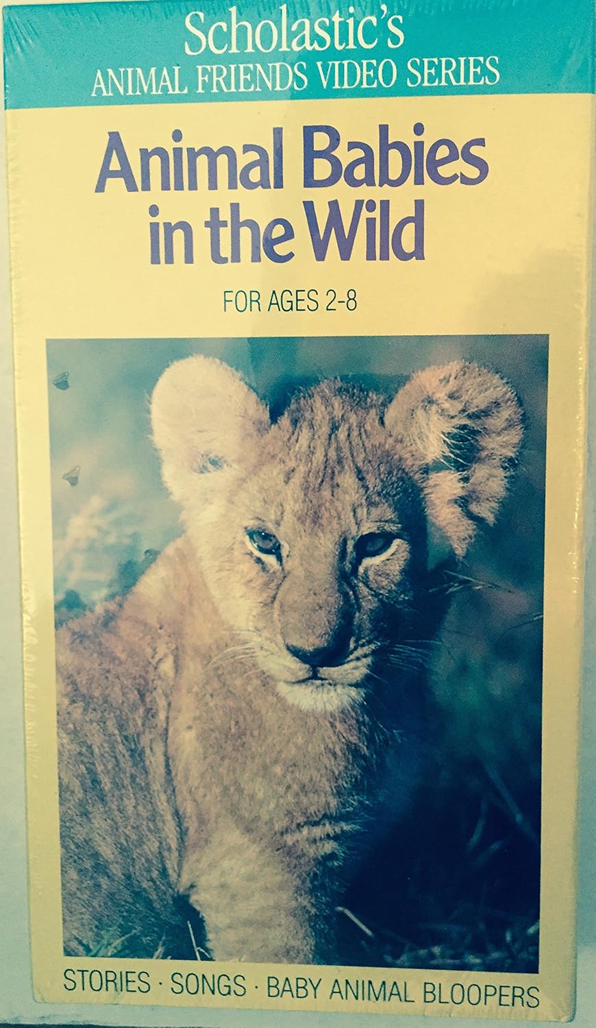 Amazon.com: Animal Babies in the Wild (Scholastic's Animal Friends ...