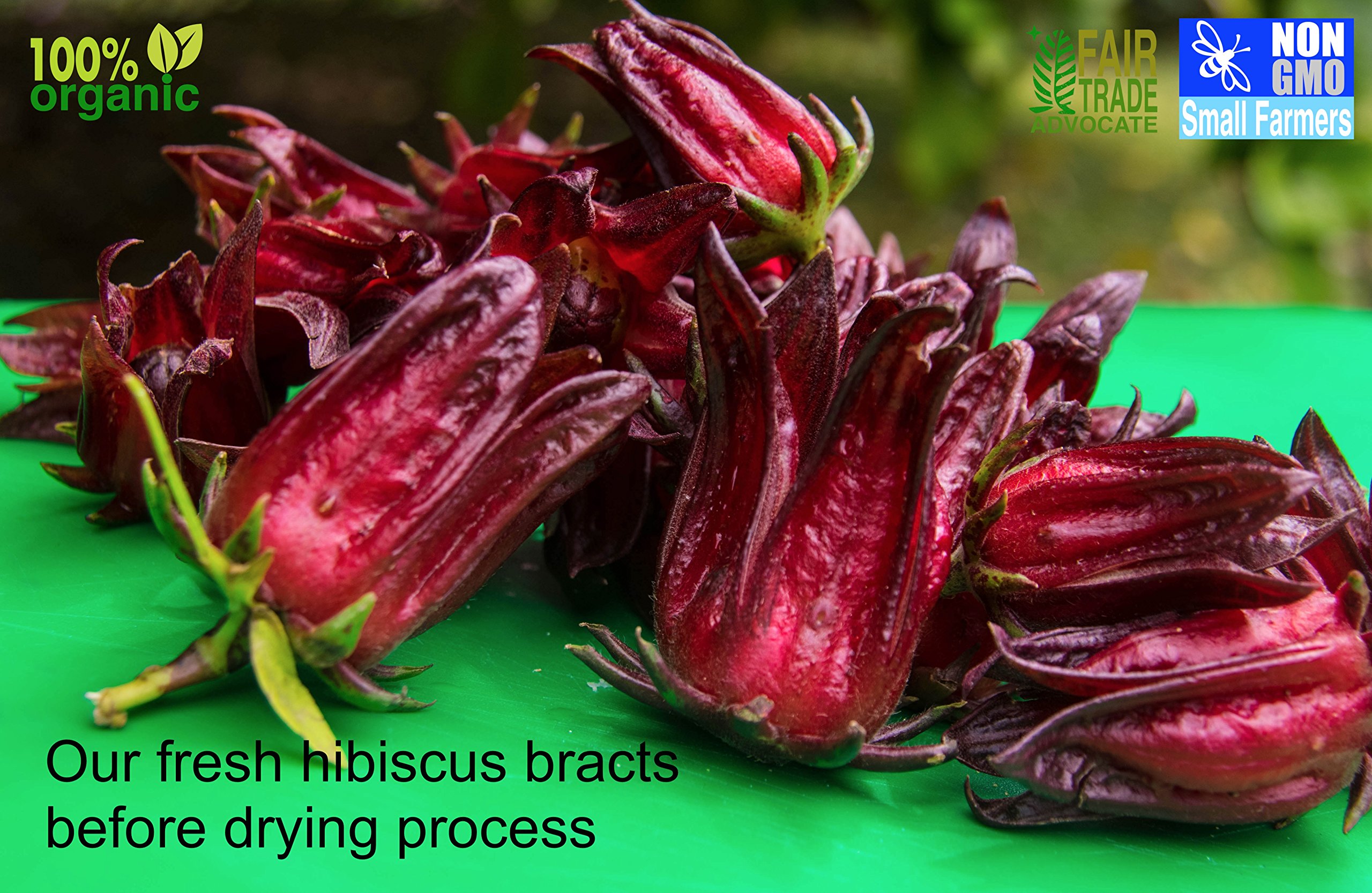 Sorrel Hibiscus Flowers (2 x 3Oz.) Herbal Tea Whole Petal 6 Oz - 100% Natural Dried Raw - Non ...