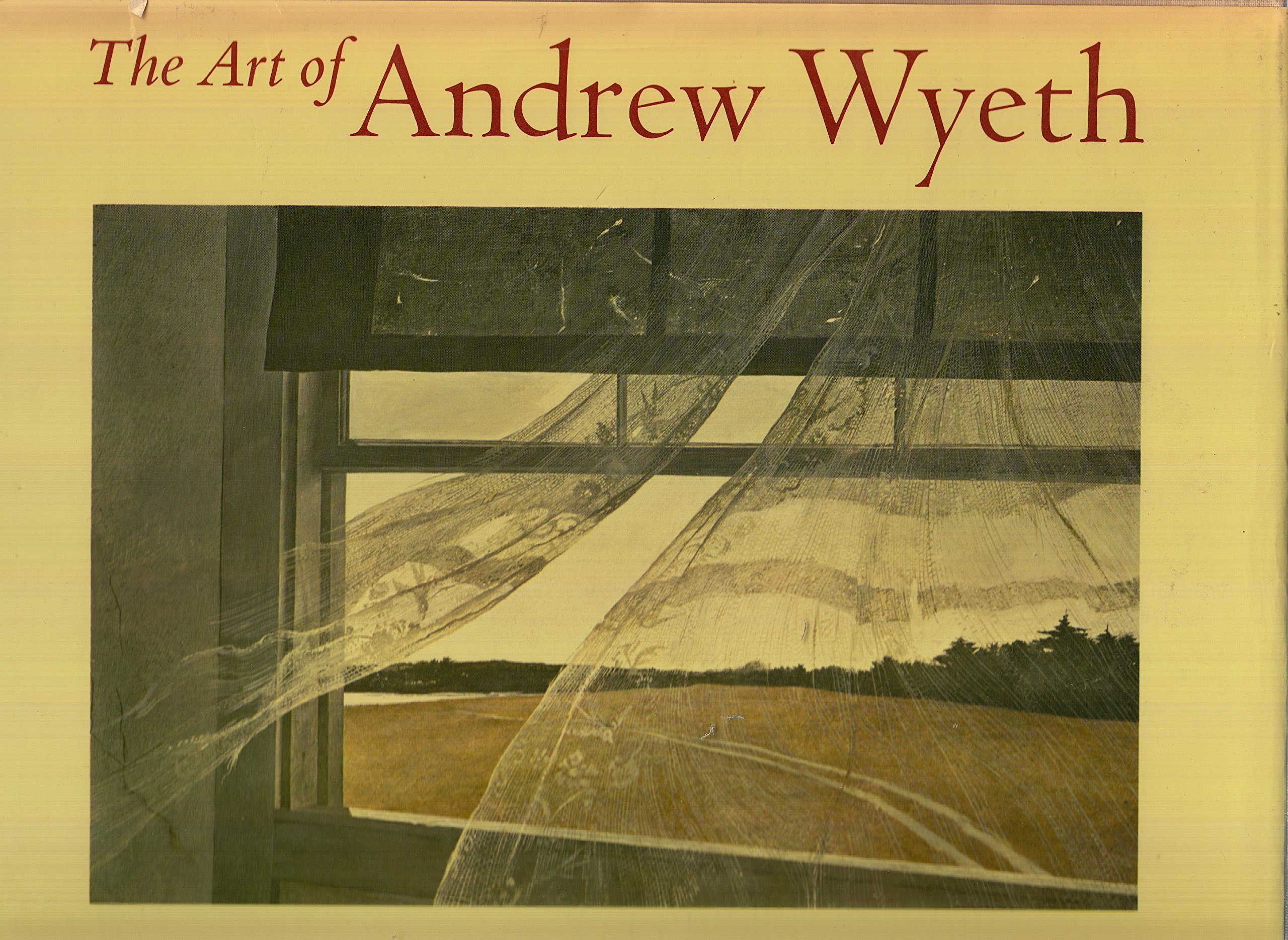( V-Z ) Books The Art of Andrew Wyeth Arts & Photography