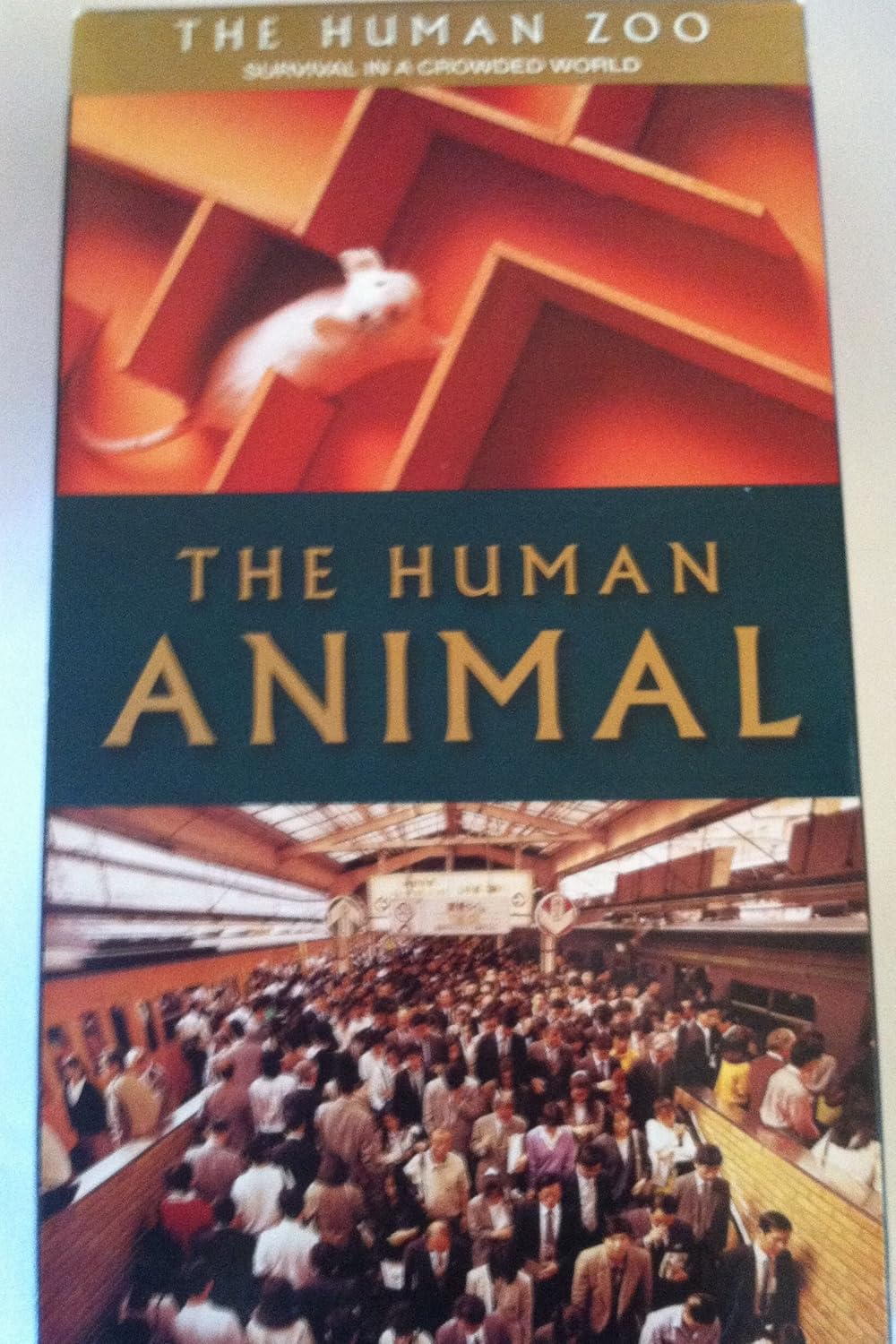 Amazon.com: The Human Animal - The Human Zoo: Movies & TV