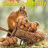 Gettin' Squirrelly 2022 Wall Calendar (Squirrels): Geert Weggen ...