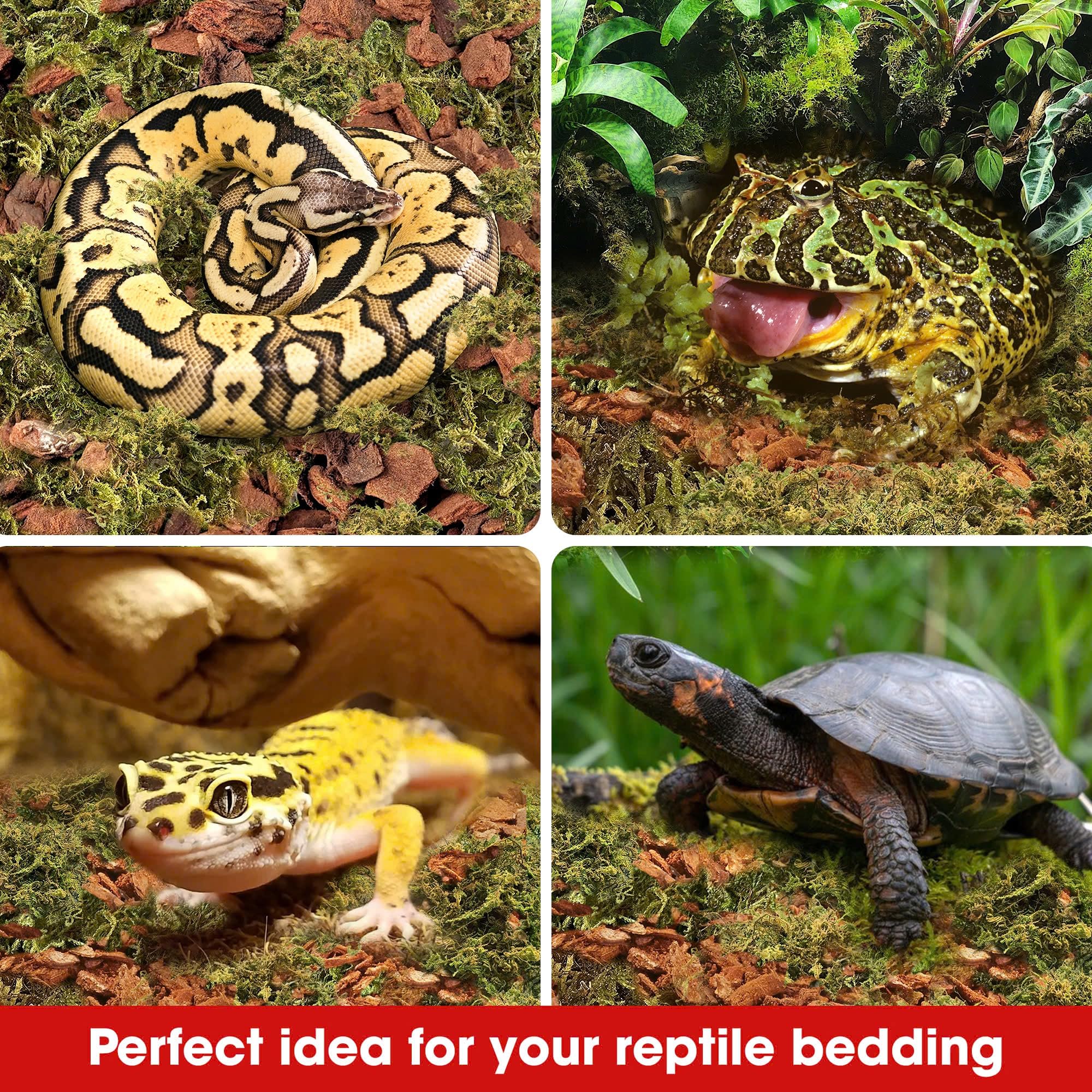 Mua Duspro Reptile Bedding Forest Moss Mix Pine Bark, Substrate for ...