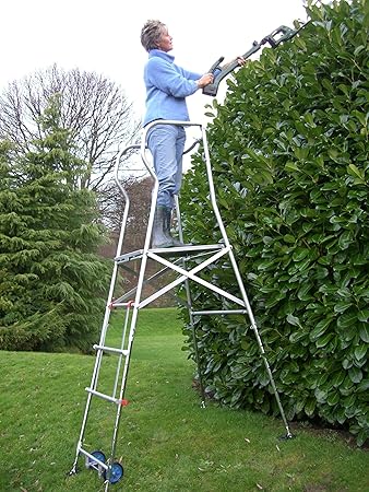 garden platform ladders | Fasci Garden