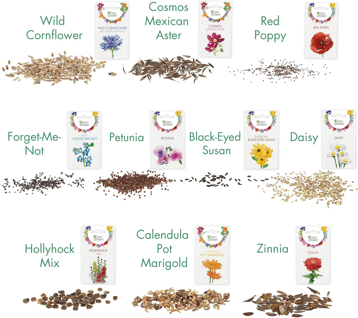 Grow Your Own Flowers: Premium Garden and Balcony Flower Seeds Set with ...