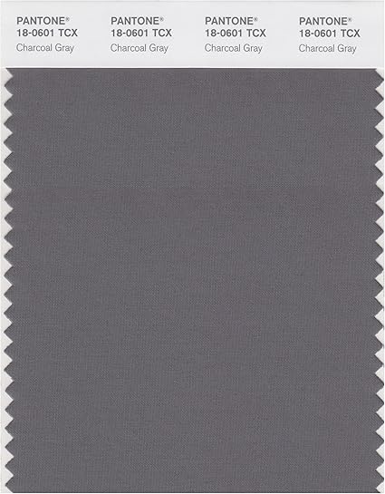 PANTONE SMART 18-0601X Color Swatch Card, Charcoal Gray, House Paint ...