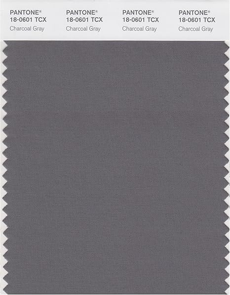 PANTONE SMART 18-0601X Color Swatch Card, Charcoal Gray, House Paint ...