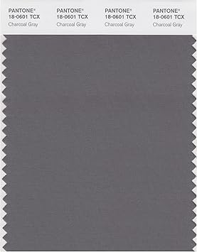 PANTONE SMART 18-0601X Color Swatch Card, Charcoal Gray, House Paint ...