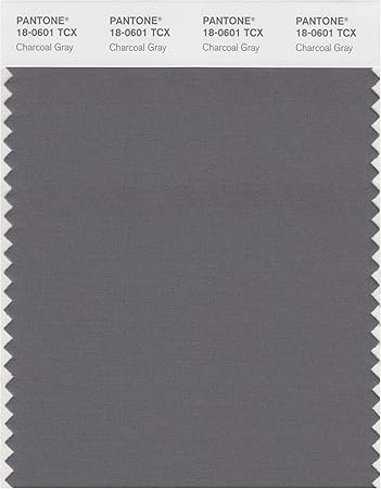 PANTONE SMART 18-0601X Color Swatch Card, Charcoal Gray, House Paint ...