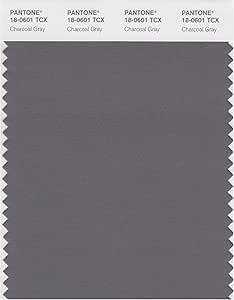 PANTONE SMART 18-0601X Color Swatch Card, Charcoal Gray, House Paint ...