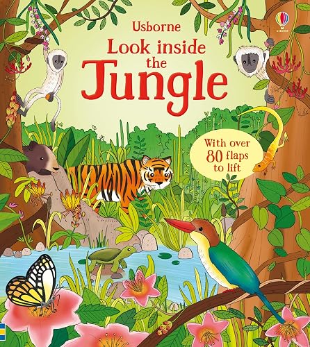 Look Inside the Jungle in Oman | Whizz Subjects