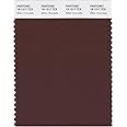 PANTONE Smart 19-1317X Color Swatch Card, Bitter Chocolate - House ...