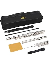 Shop Amazon.com | Flutes