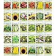 Amazon.com : 30 Assorted Packages of Vegetable Seeds, 15+ Varieties ...