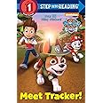 Amazon.com: PAW Patrol Deluxe Step into Reading (PAW Patrol ...