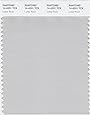 Pantone 16-3915 TCX Smart Color Swatch Card, Alloy - House Paint ...