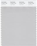 Pantone 16-3915 TCX Smart Color Swatch Card, Alloy - House Paint ...