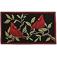 Amazon.com: Indoor/Outdoor Cardinal Accent Rug | Hand-Hooked 100% ...