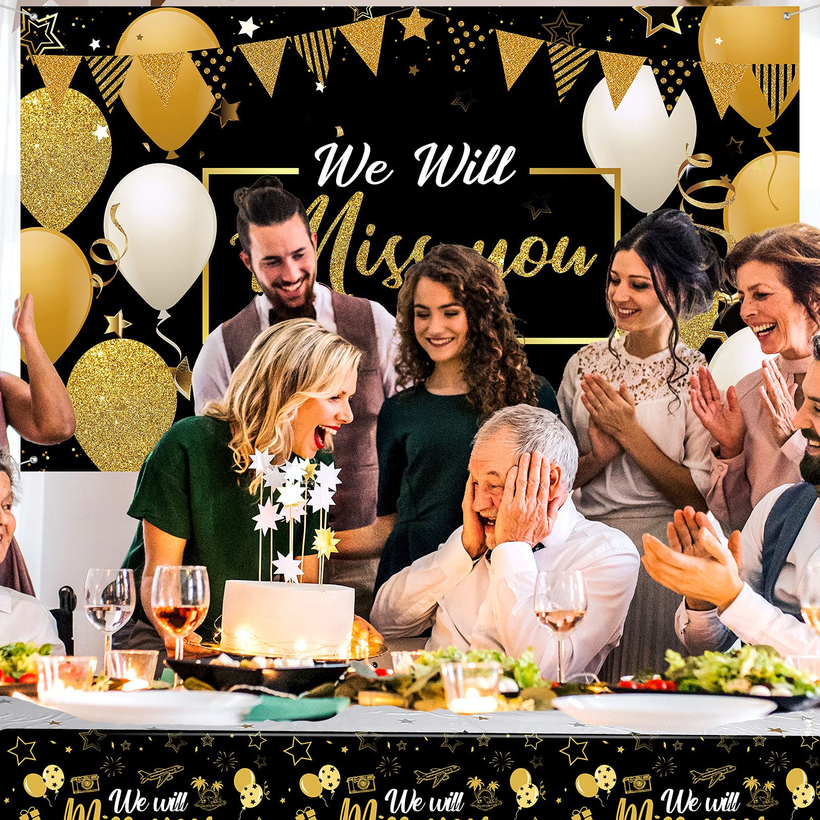 Mua We Will Miss You Party Farewell Decorations Set, Going Away Party ...