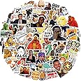 Amazon.com: 220PCS Funny Meme Sticker Pack, Vinyl Waterproof Stickers ...