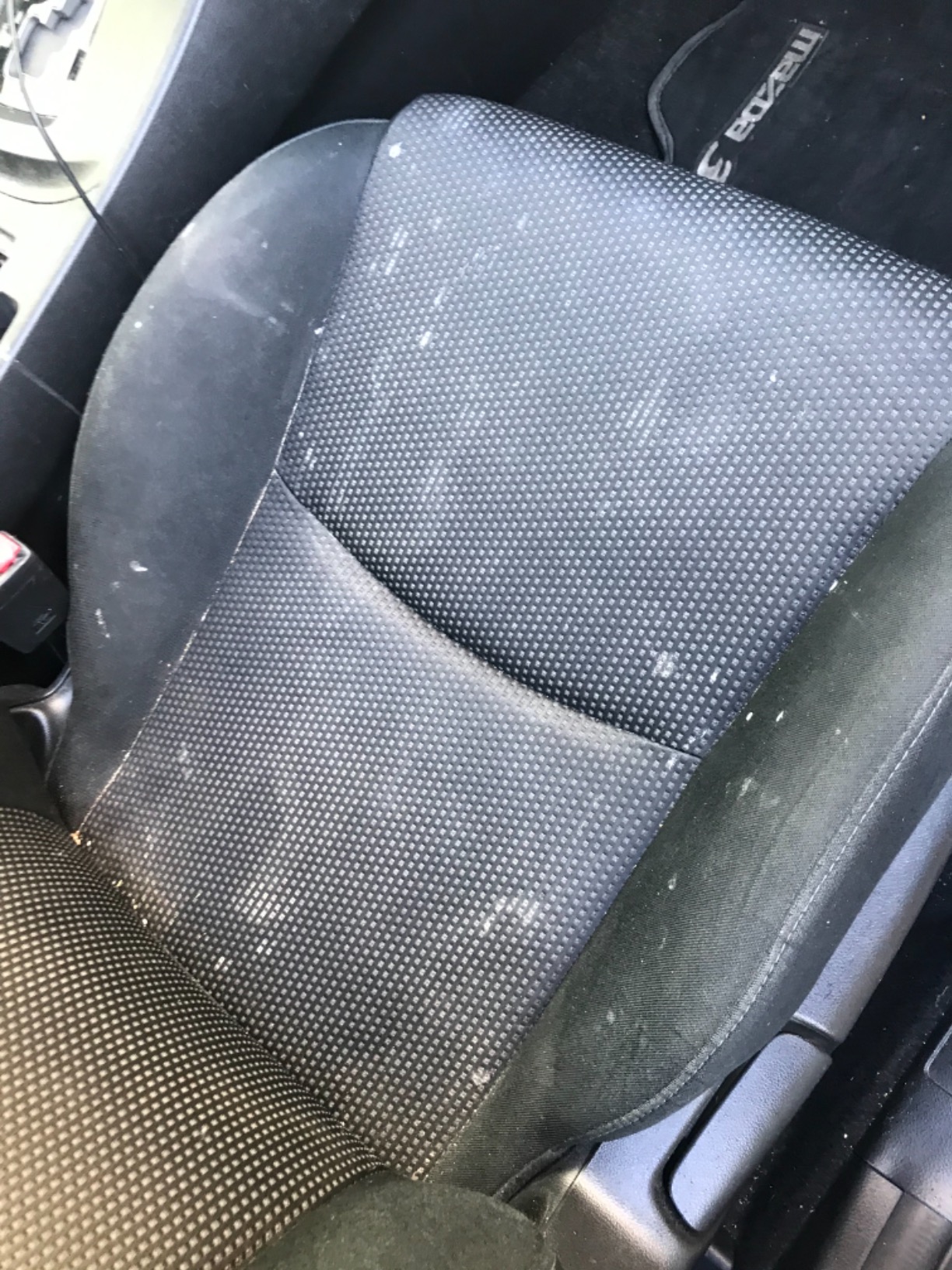 $73/mo - Finance Mytee Lite 2 Heated Carpet Extractor Auto Detailer ...