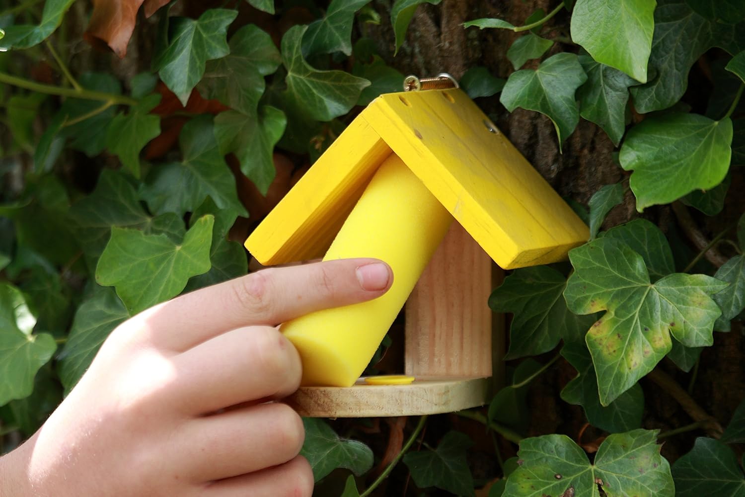 Wildlife World Mini Bugs Butterfly/ Moth Feeder and Habitat – BigaMart