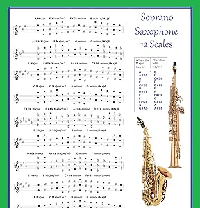 SOPRANO SAXOPHONE POSTER 12 SCALES FOR SAX : Musical Instruments