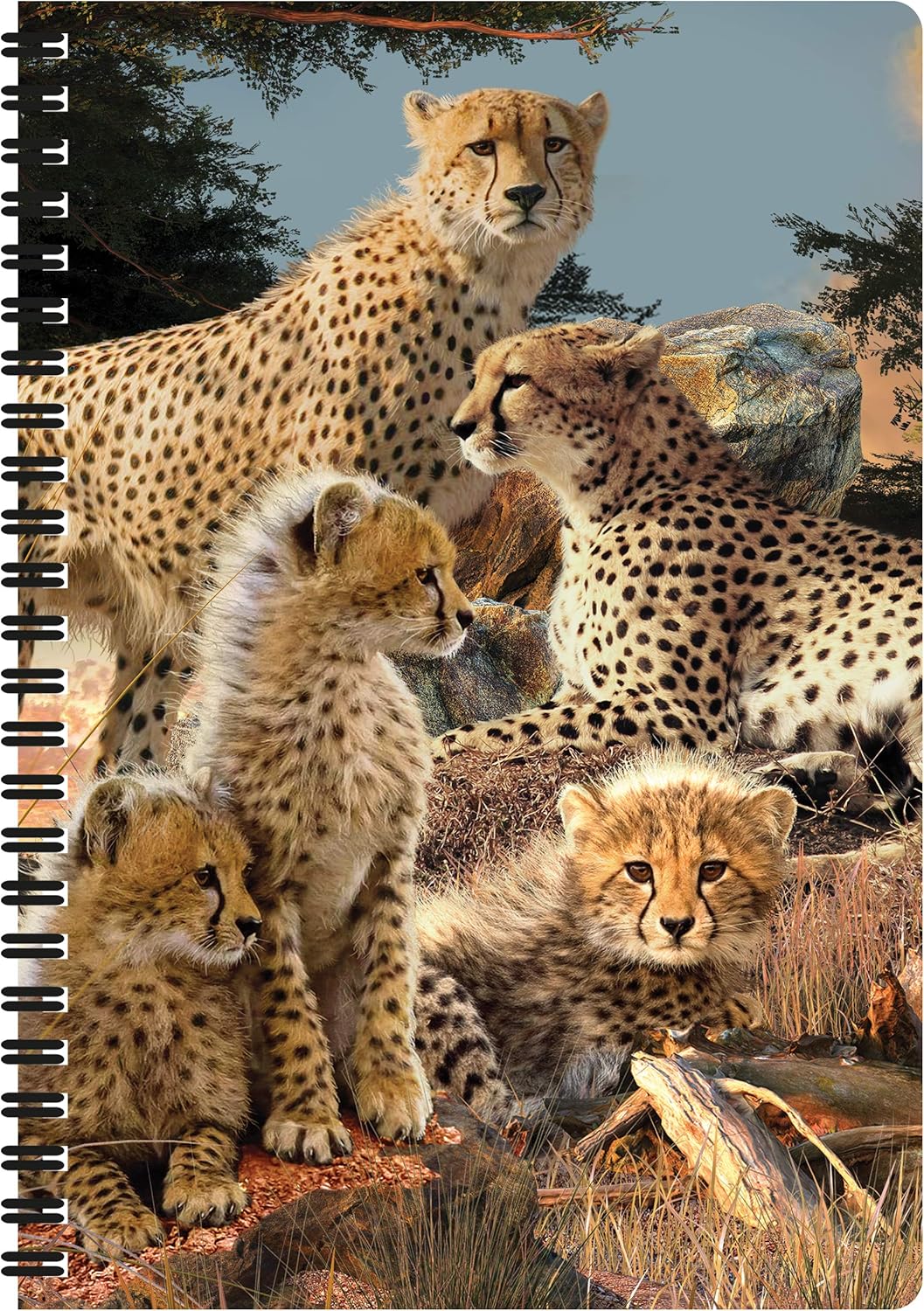 3D LiveLife A5 Notebook – Cheetah Clan from Deluxebase. 80 Page ...