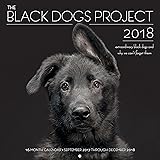 Amazon.com: The Black Dogs Project: Extraordinary Black Dogs and Why We ...