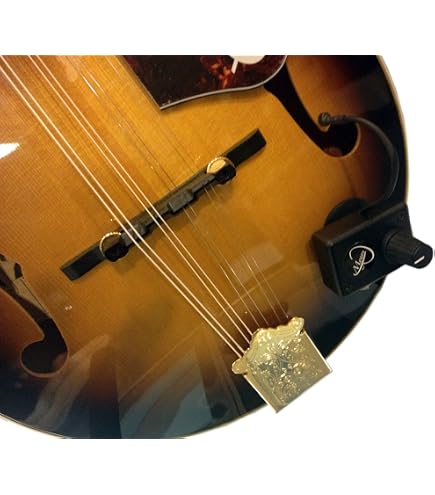 Fishman Pickups Fishman M-300 Nashville Series Mandolin Pickup - Piezo ...