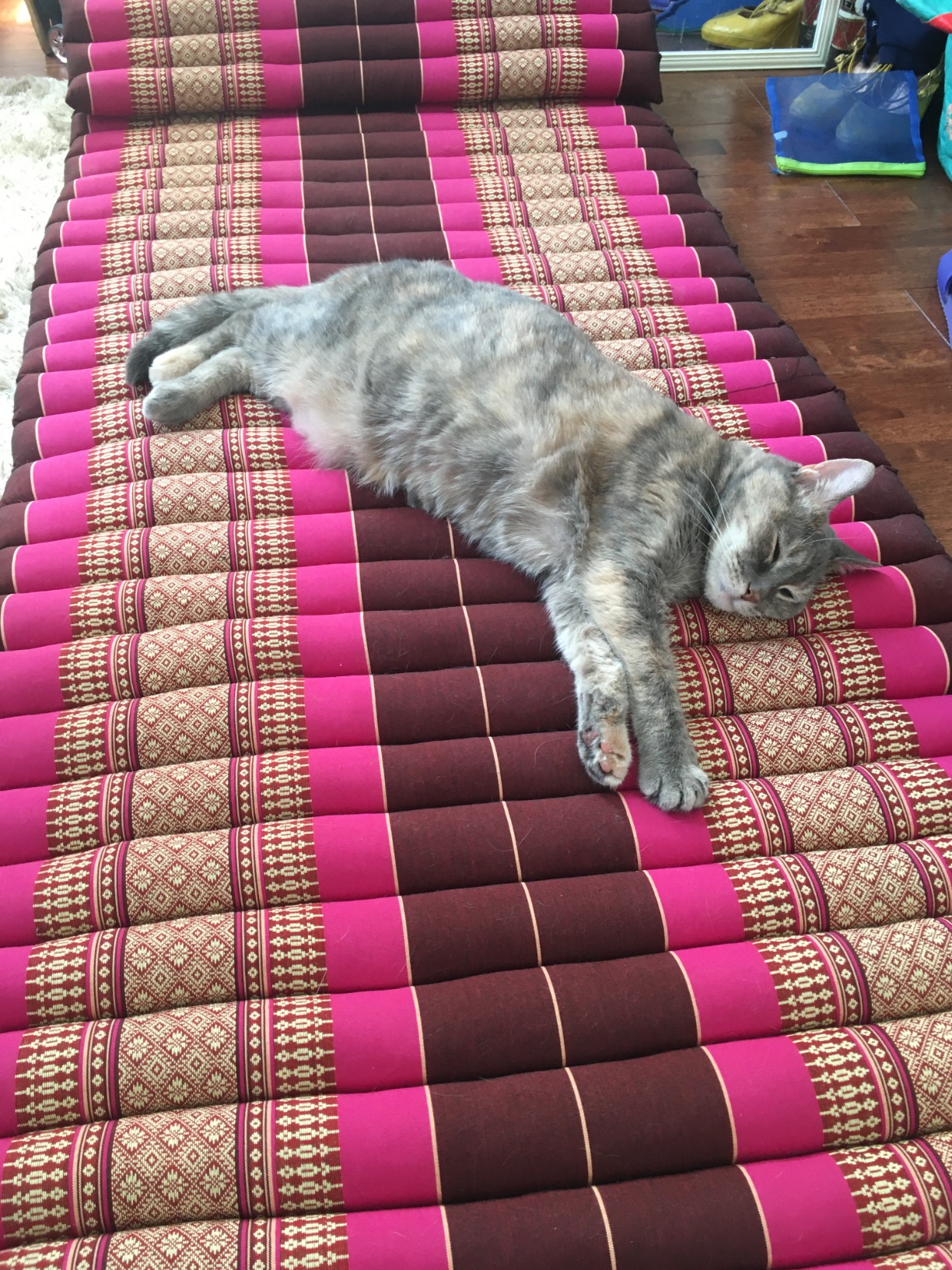 $25/mo - Finance LEEWADEE Rollable Floor Mat M – Comfortable and ...