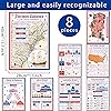 US Government Posters Social Studies Classroom Decorations History ...