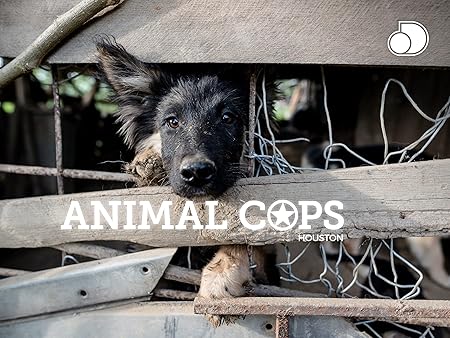 Watch Animal Cops: Houston - Season 6 | Prime Video