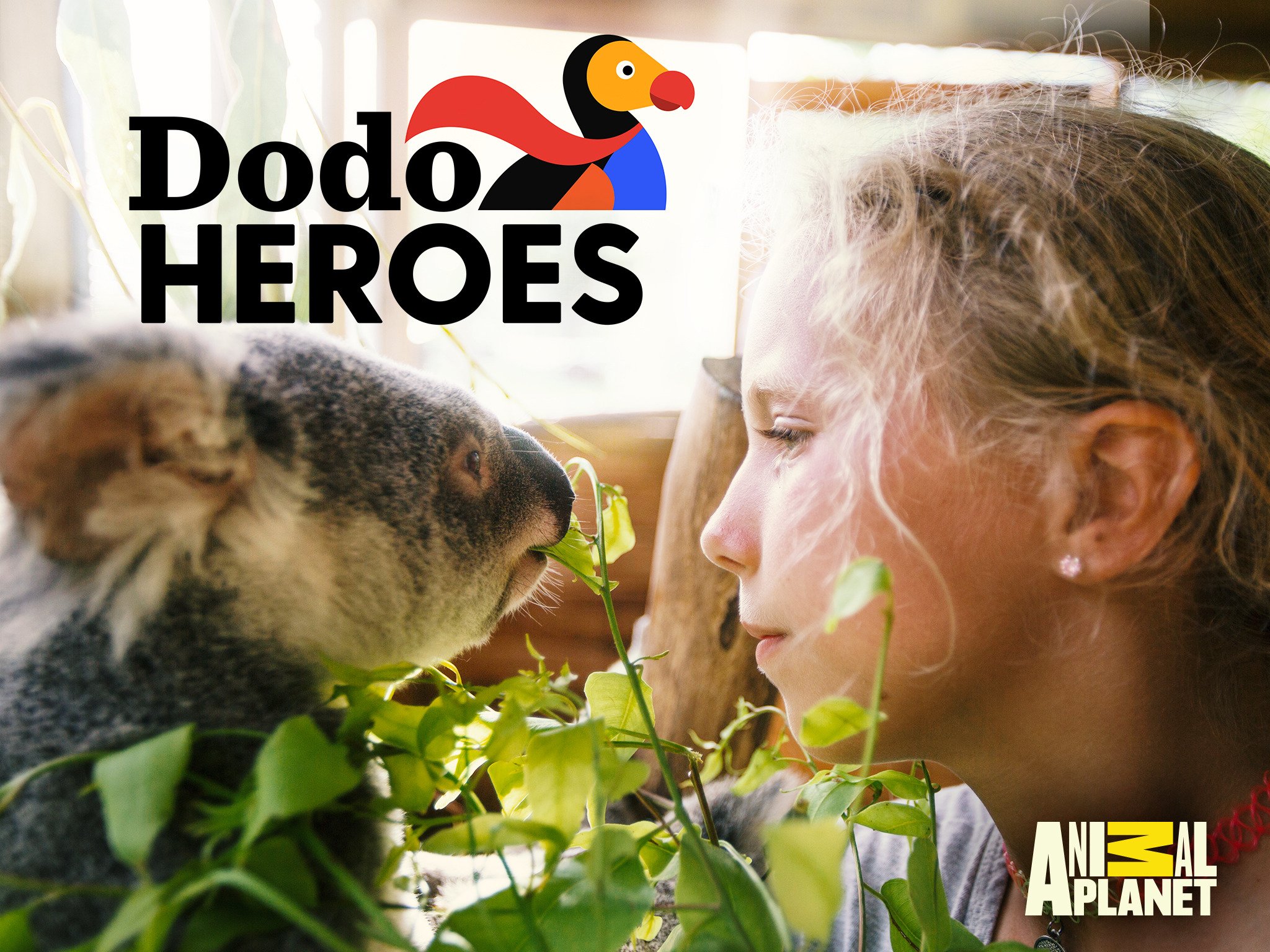 Watch Dodo Heroes Season 1 | Prime Video