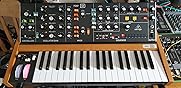 Amazon.com: Behringer Poly D Polyphonic Analog Synthesizer : Musical ...