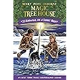 Narwhal on a Sunny Night (Magic Tree House (R)): Osborne, Mary Pope ...