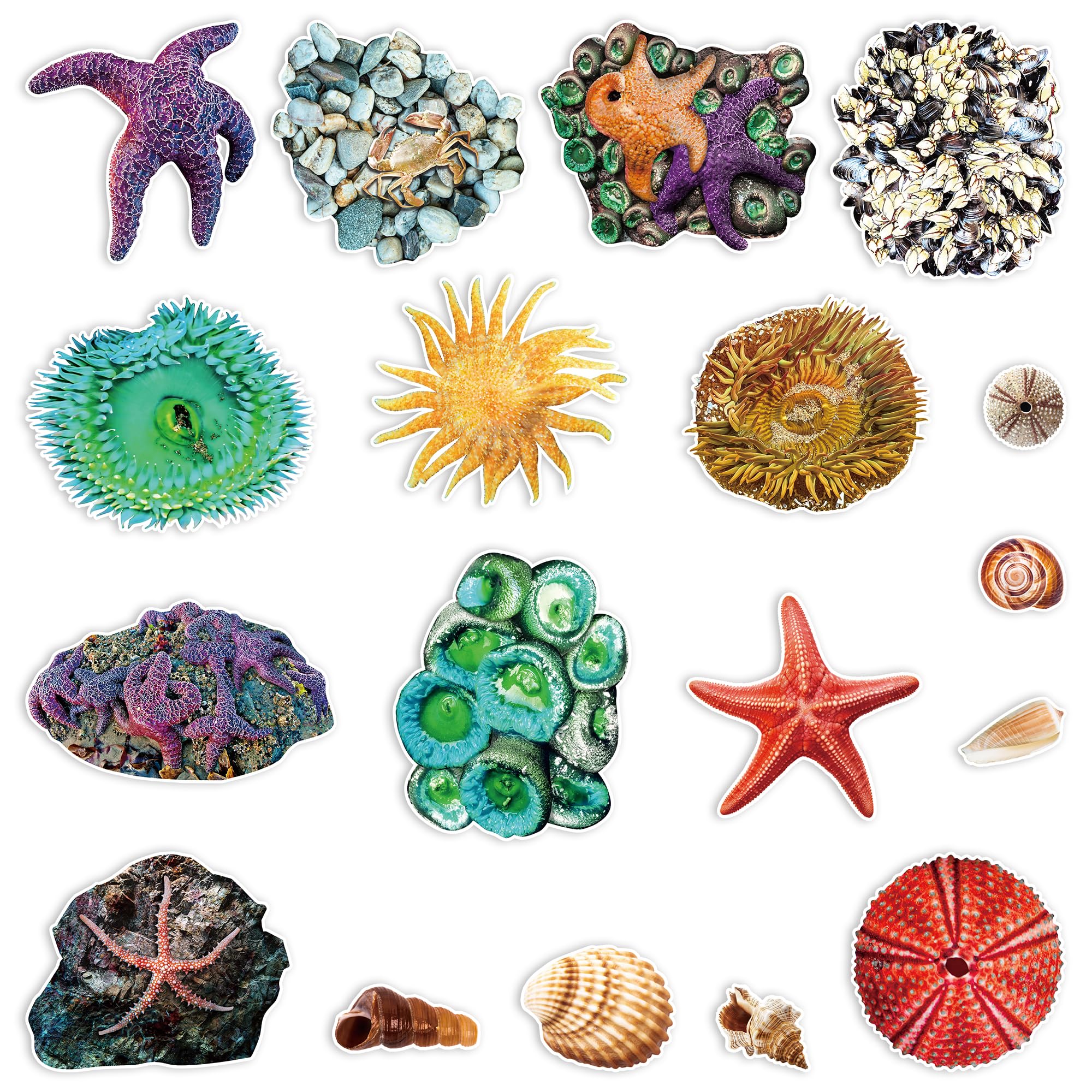 TaoBary 18 Pcs Shoreline Floor Decals VBS Vacation Bible School 2024 ...