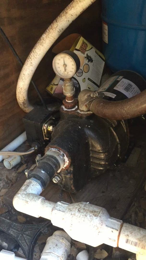 WAYNE SWS100 1 HP Cast Iron Shallow Well Jet Pump for Wells up to 25 ft ...
