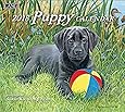 Amazon.com : LANG - 2018 Wall Calendar -"Puppy", Artwork by Susan ...