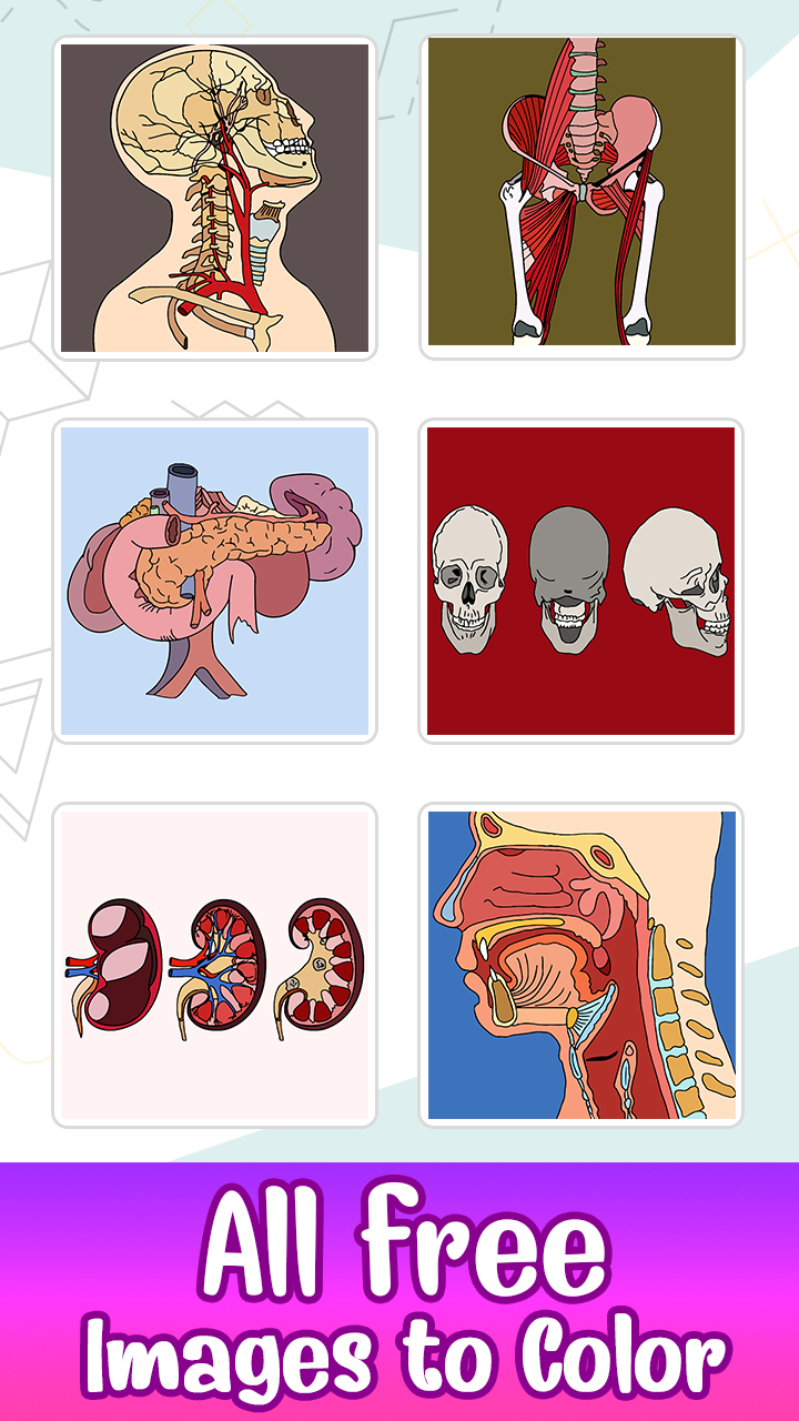 Amazon.com: Human Body Color By Number Art - Anatomy Coloring Book ...