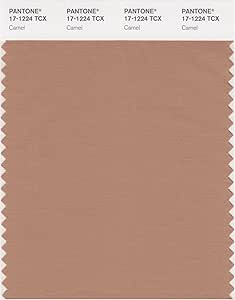 PANTONE Smart 17-1224X Color Swatch Card, Camel - Wall Decor Stickers ...