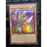 Amazon.com: Yu-Gi-Oh! - Kiwi Magician Girl (MVP1-ENG16) - The Dark Side of Dimensions Movie Pack ...