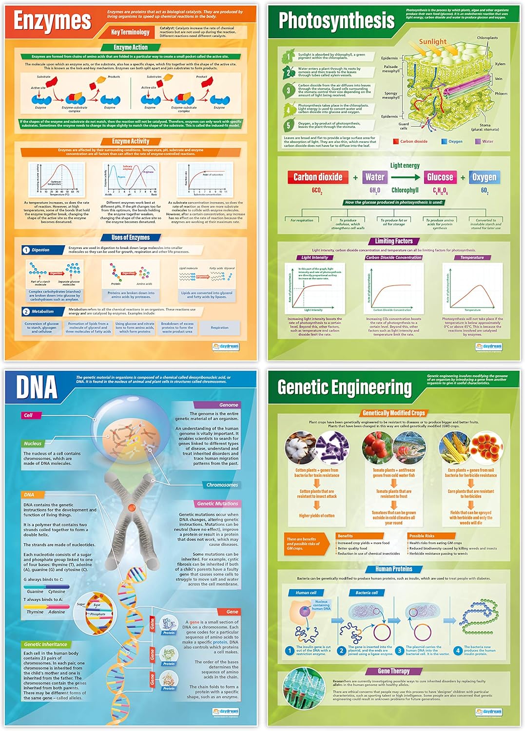 Biology Posters – Set of 13 | Science Posters | Gloss Paper measuring ...