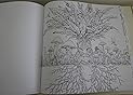 Wondermorphia: An Extreme Colouring and Search Challenge : Rosanes ...
