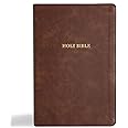 CSB Grace Bible, Brown LeatherTouch, Large Print, Dyslexia-Friendly ...