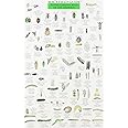 Mac's Field Guides: Midwest Garden Bugs (Mac's Guides (Flash Cards ...