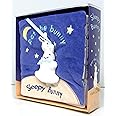 Sleepy Bunny (Pat the Bunny Cloth Book): Golden Books: 9780375825316 ...