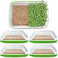 Amazon.com : UCandy Seed Sprouter Tray with Drain Holes,Seed ...