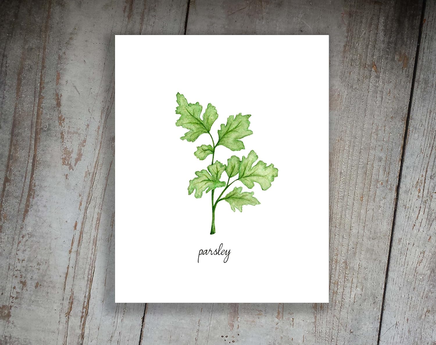Amazon.com: Parsley Watercolor Art Print: Handmade