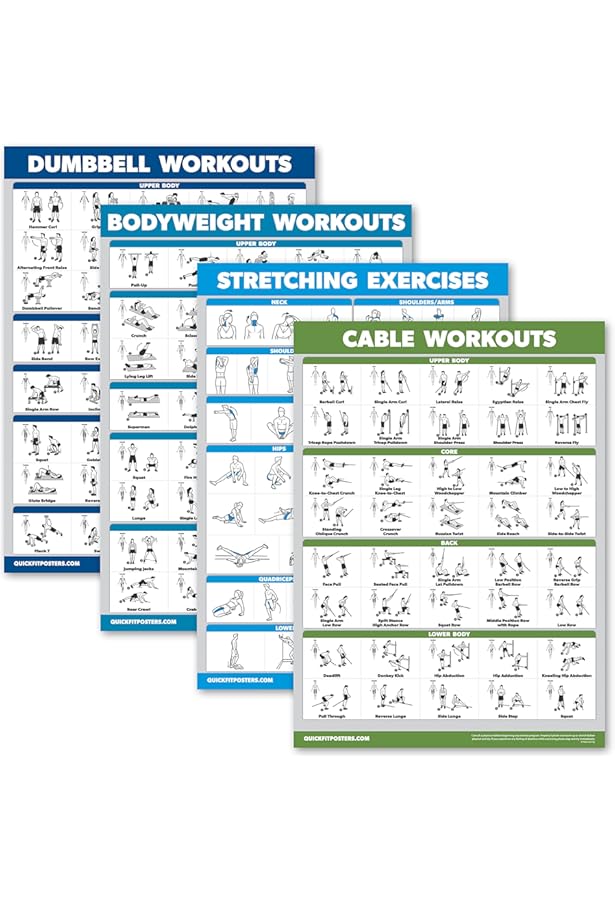 QuickFit Dumbbell Workouts And Barbell Exercise Poster Set Laminated ...
