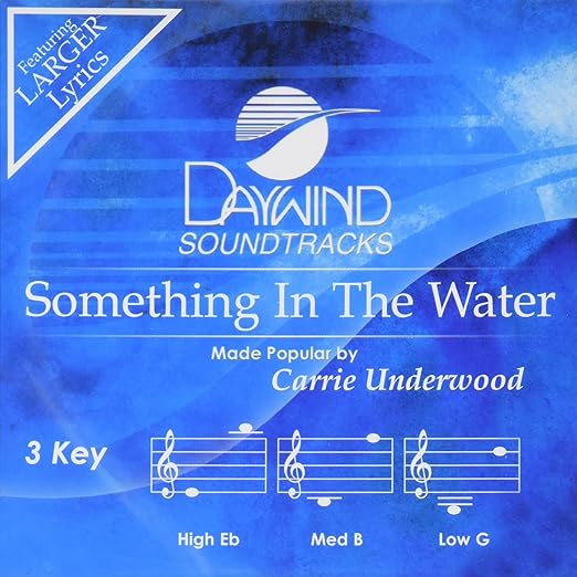 Carrie Underwood - Something In The Water [Accompaniment/Performance ...